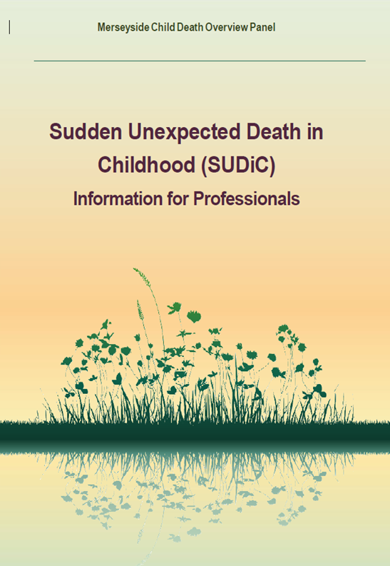 Child Death Overview Panel - Wirral Safeguarding Children Partnership