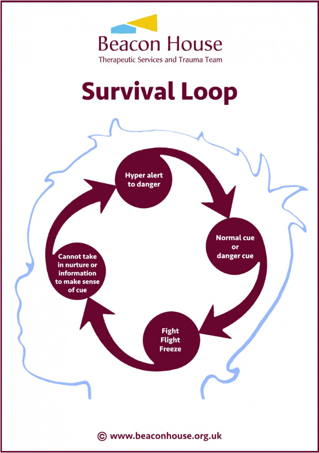 Adverse Childhood Experiences (ACEs) - Wirral Safeguarding Children ...