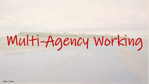 Annual Report 2021 Multi-agency Working - Wirral Safeguarding Children Partnership