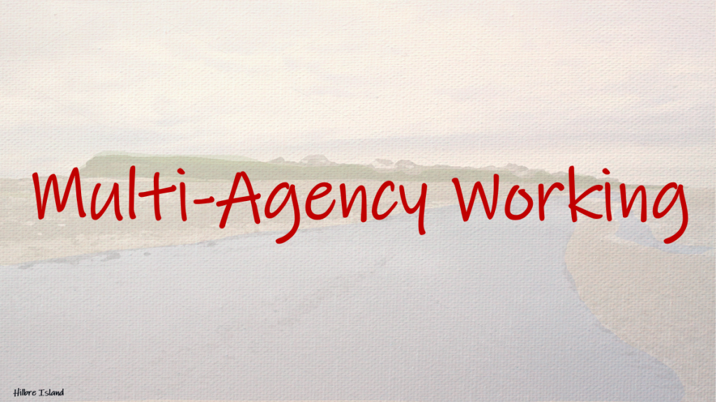 Annual Report 2023 – Multi-agency Working - Wirral Safeguarding ...